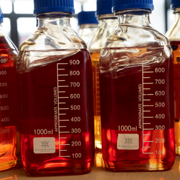 Delta 8 Beverage - Best D8 Drinks Infused w/ Delta 8 Distillate ...