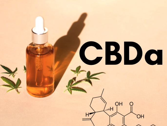 Home - Cannessentials